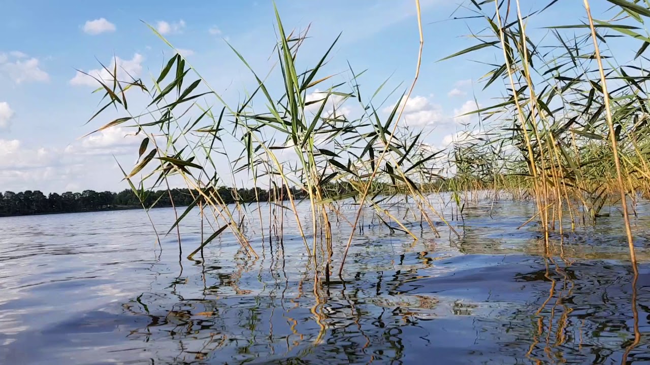 pelde Balvu ezers 9aug2018 - YouTube