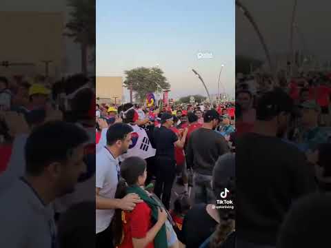 oppa gangnam style - Korea fans in Qatar