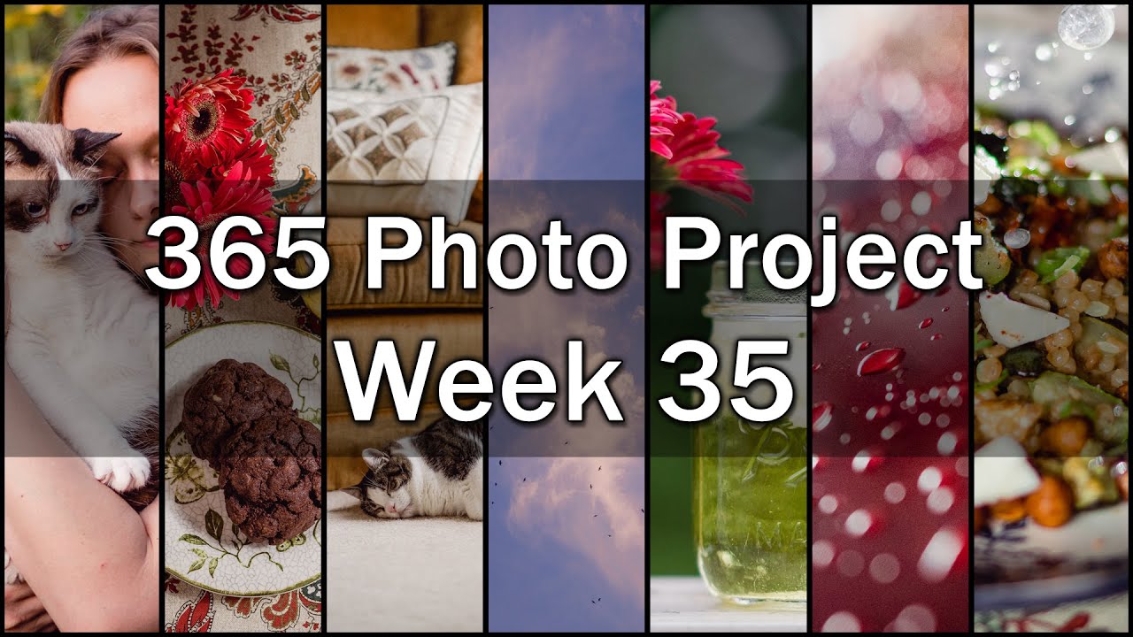 Slow Living Food and Photos 🍲🍵 Week 35 - 365 Photo Project - YouTube