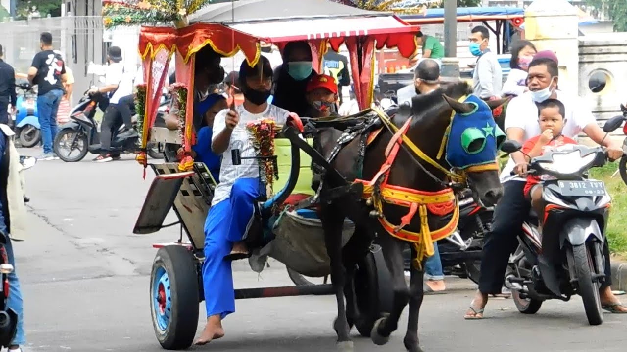 Naik delman bersama pak kusir di bkt || horse drawn carriage || horses ...