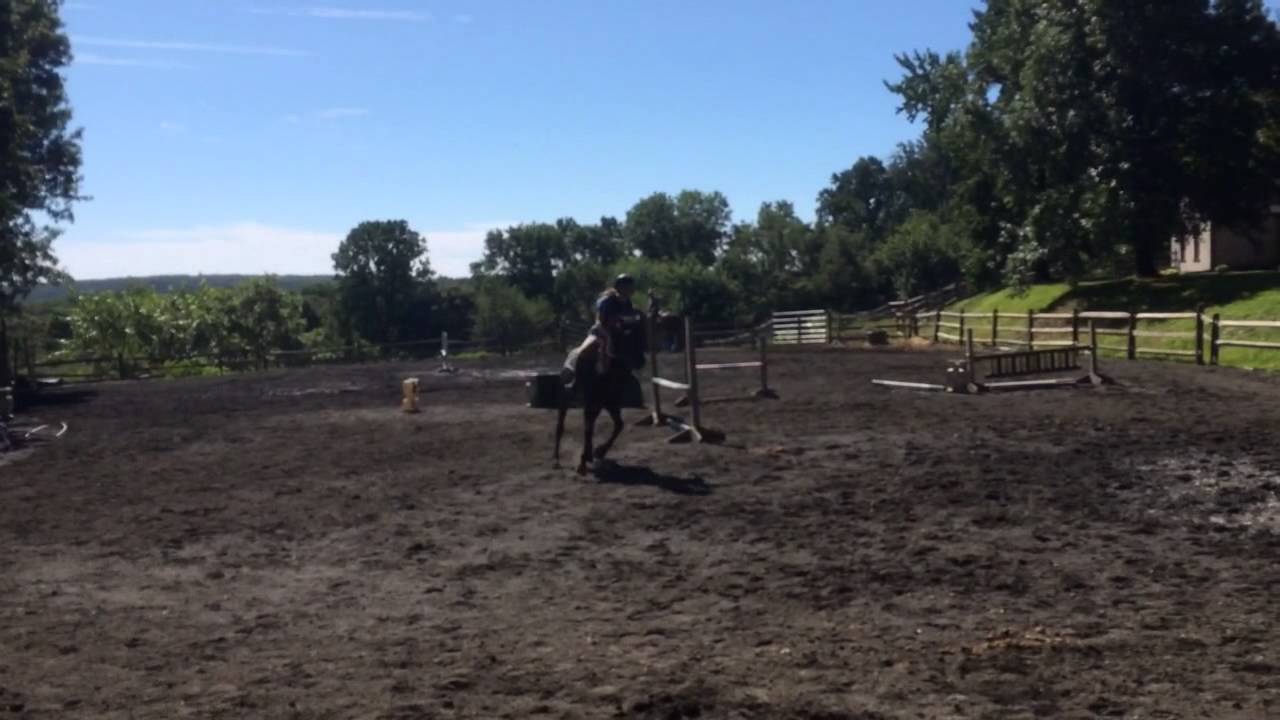 Cando Farm - YouTube