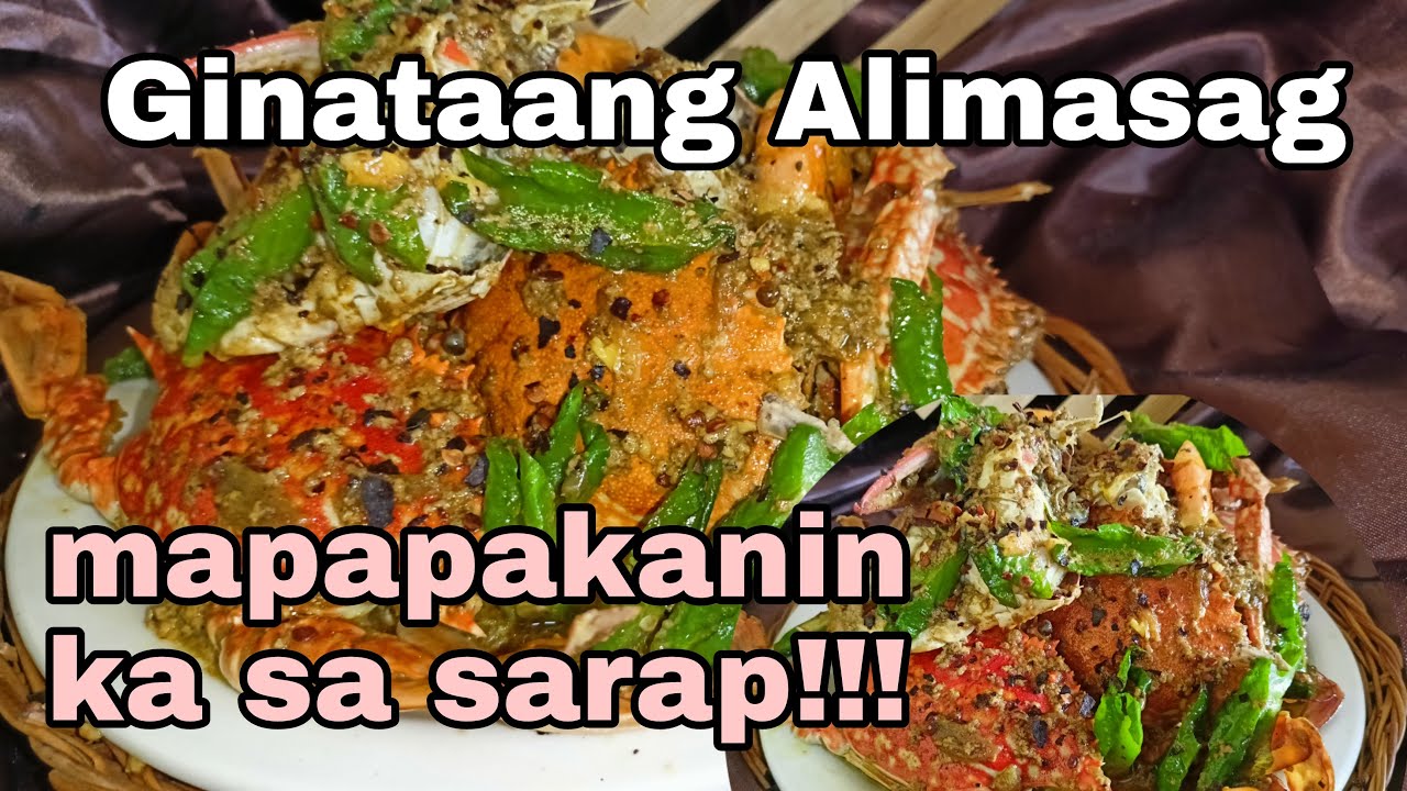 #indaykuripot#alimasag#seafoodrecipe GINATAANG ALIMASAG - YouTube