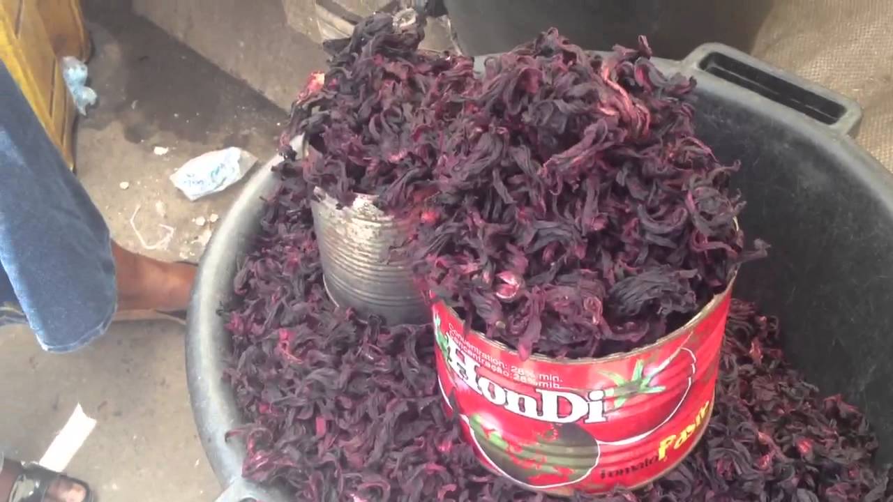 Rosella Flowers for Tea in Gambia - YouTube