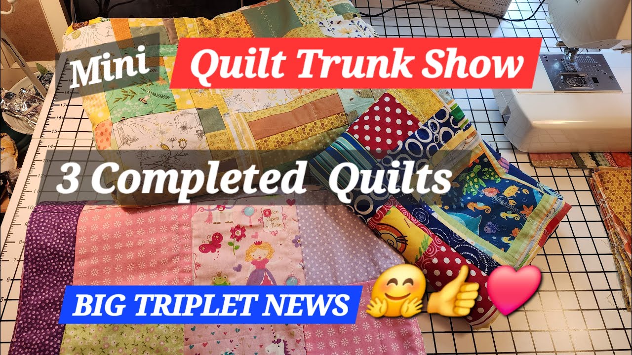 3 Completed Quilts 🤗 👀,Honey Bee Quilt, Princess Quilt, Under The Sea ...