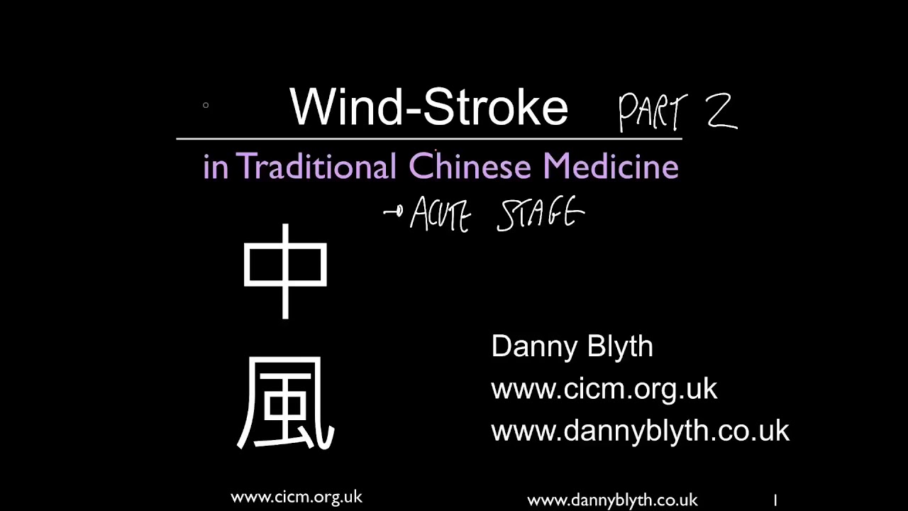 Wind stroke in Traditional Chinese Medicine part 2: Acute - YouTube