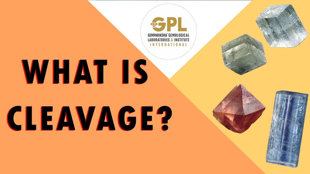 what is cleavage? - YouTube