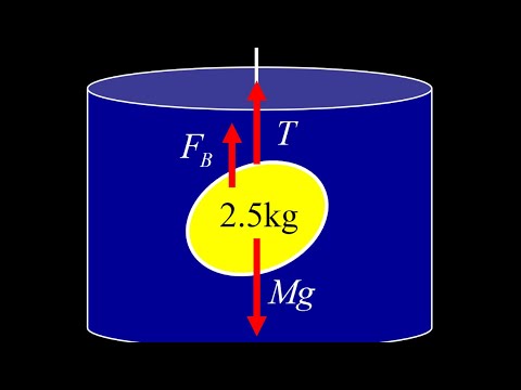 Using Archimedes' Principle to find the density of a submerged rock ...