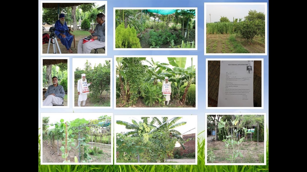 DIWALI EXCLUSIVE : Gulzar's Gill Farm : A Silver Lining In Farming ...