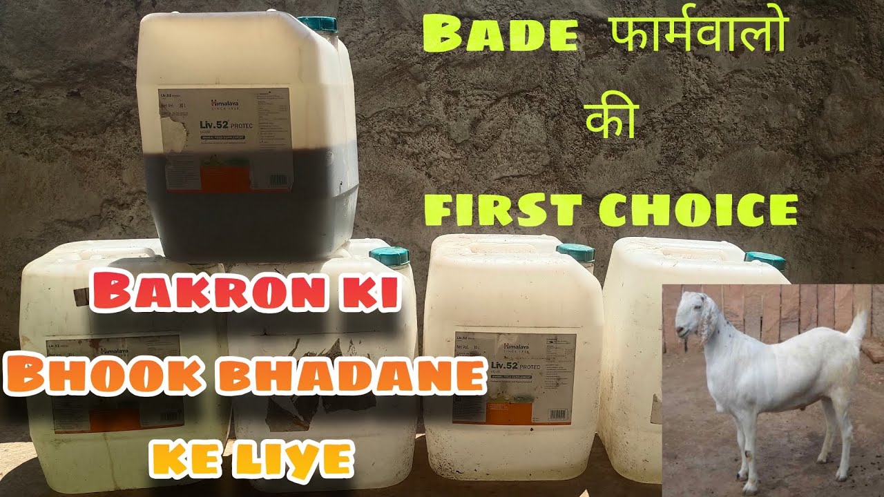 Bakron ki Bhookh bhadane wala requid #goatfood #goatsupplimeint # ...