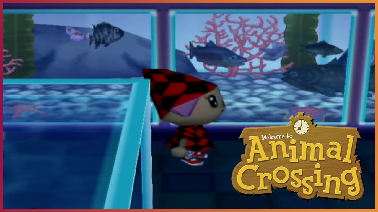 Let's Play Animal Crossing #113 - A Salmon For Blathers | Gamecube ...