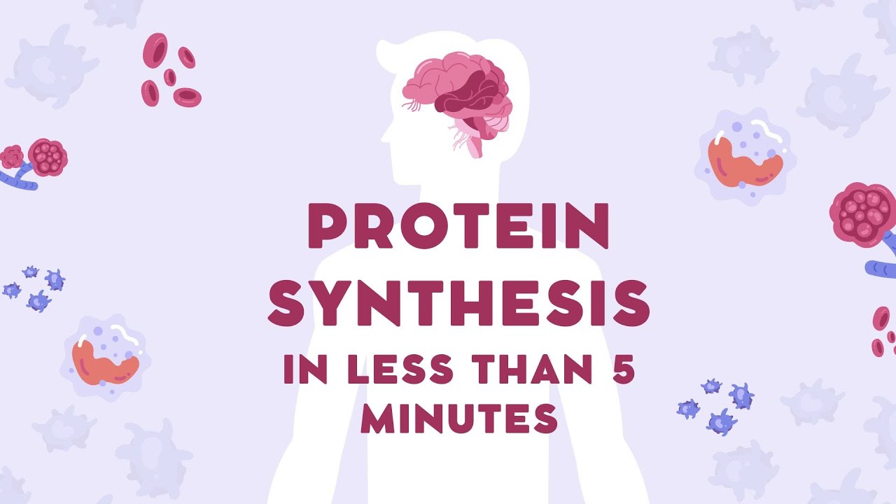 Protein Test Biology Igcse At Seth Darcy Irvine Blog