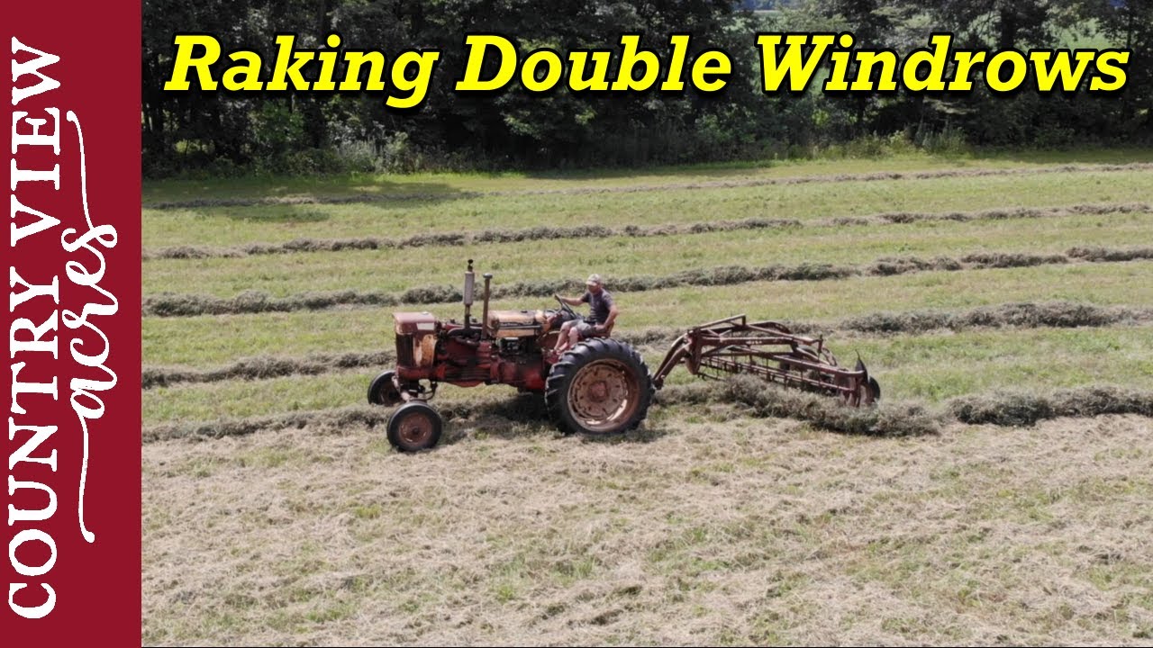 The hay is looking good, but I'm Raking Double Windrows since there is ...