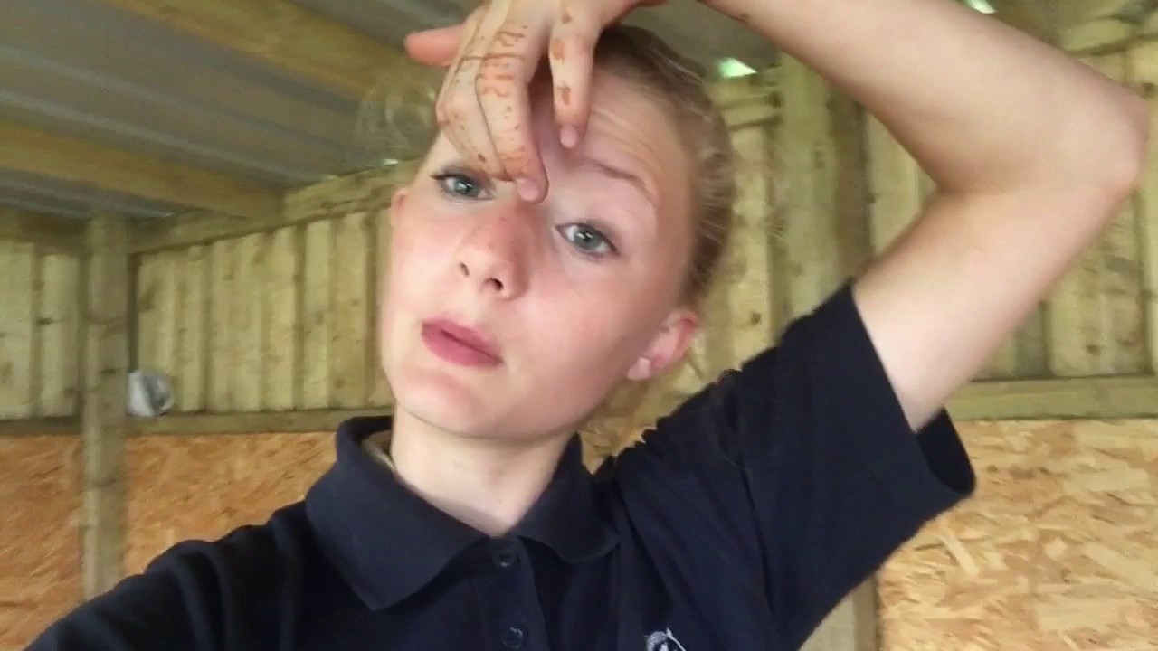 Very messy barn vlog - YouTube