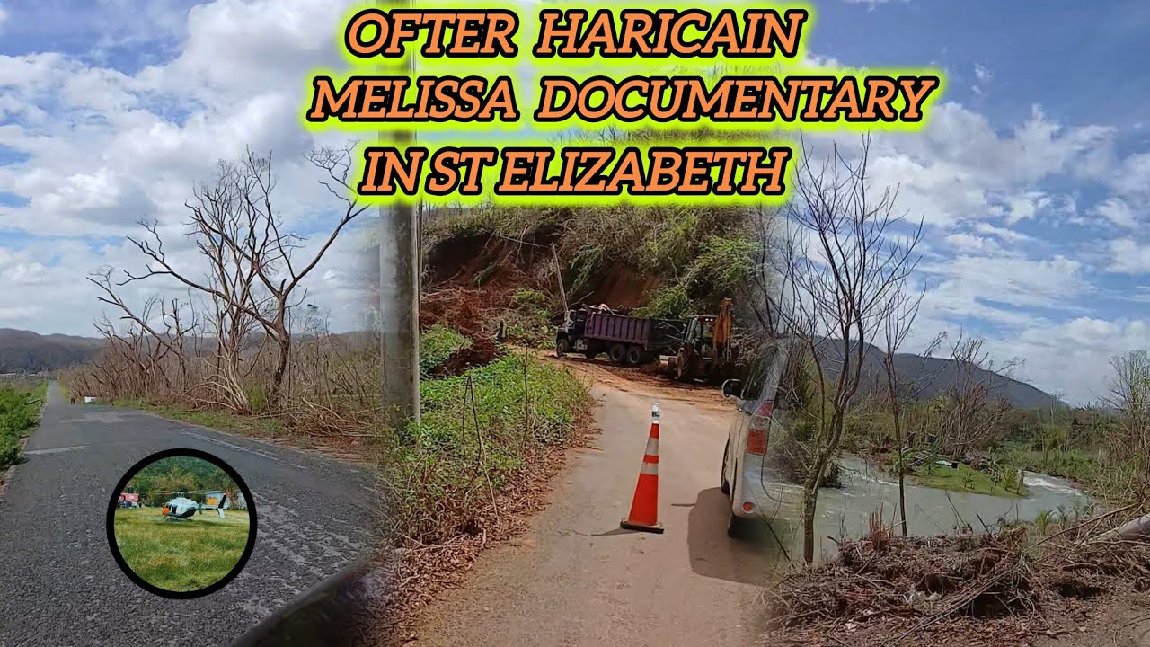 HARICAIN MELISSA DOCUMENTARY SILOAH St ELIZABETH! all birds evacuat ...