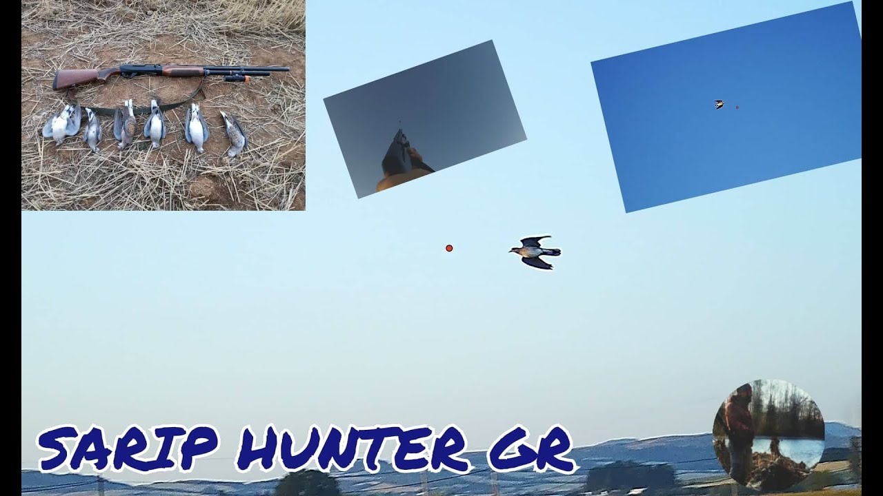 ΚΥΝΗΓΙ ΤΡΥΓΟΝΙΟΥ No3 2021-22 SHOTKAM CACCIAALLATORTORA CHASSE AUX ...