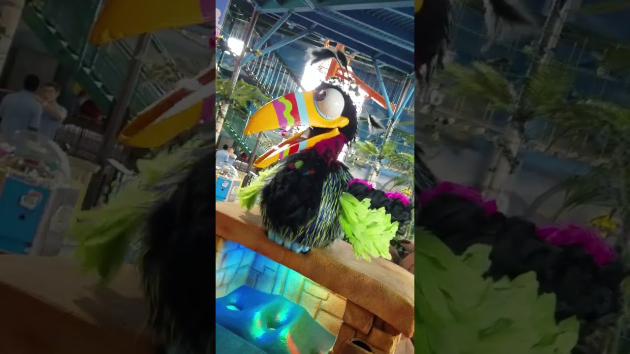 Talking Toucan - #3DPrinted with COEX FILAMENT - YouTube