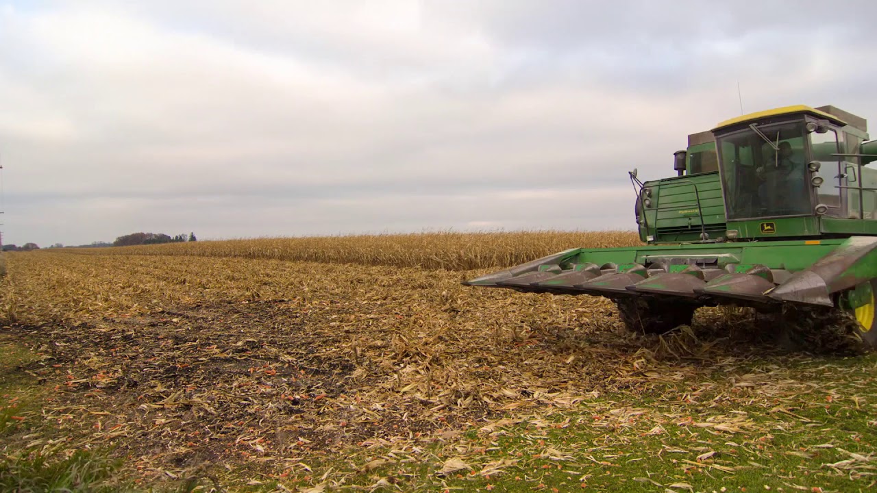 Harvesting - YouTube