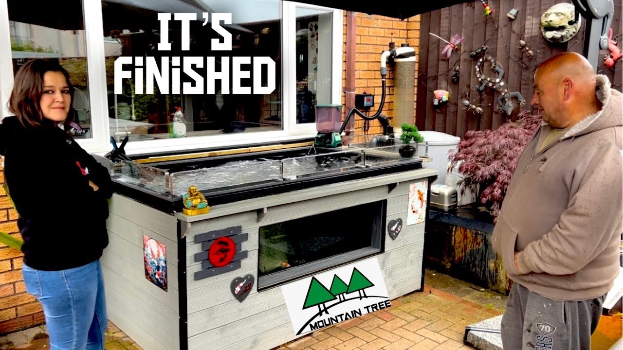 THE DIY EZ POND IS FINISHED NEW**MOUNTAIN TREE**AIR RING TOPS IT RIGHT ...