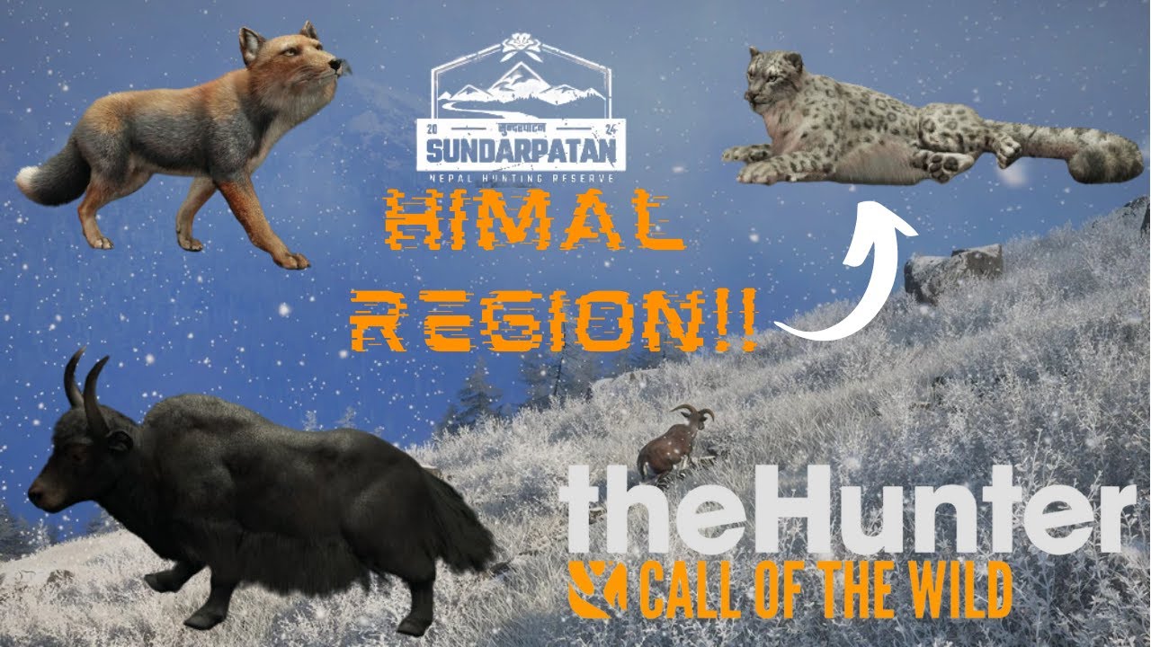 EXPLORING THE HIMAL REGION IN SUNDARPATAN NEPAL IN HCOTW!! - YouTube