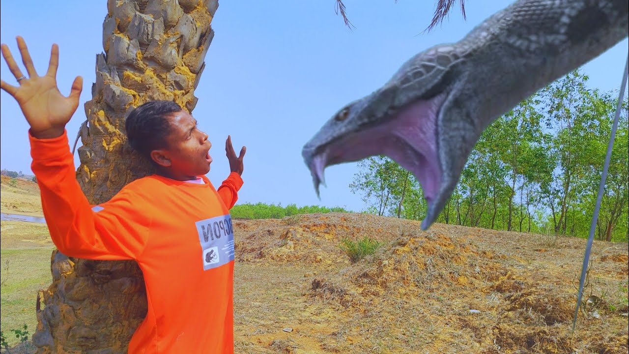 Big Python Snake in Real Life ll #anaconda - YouTube