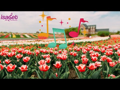 Baharın Huzur Veren Çiçekleri ve  Ruhunuzu Dinlendirecek Müzikler