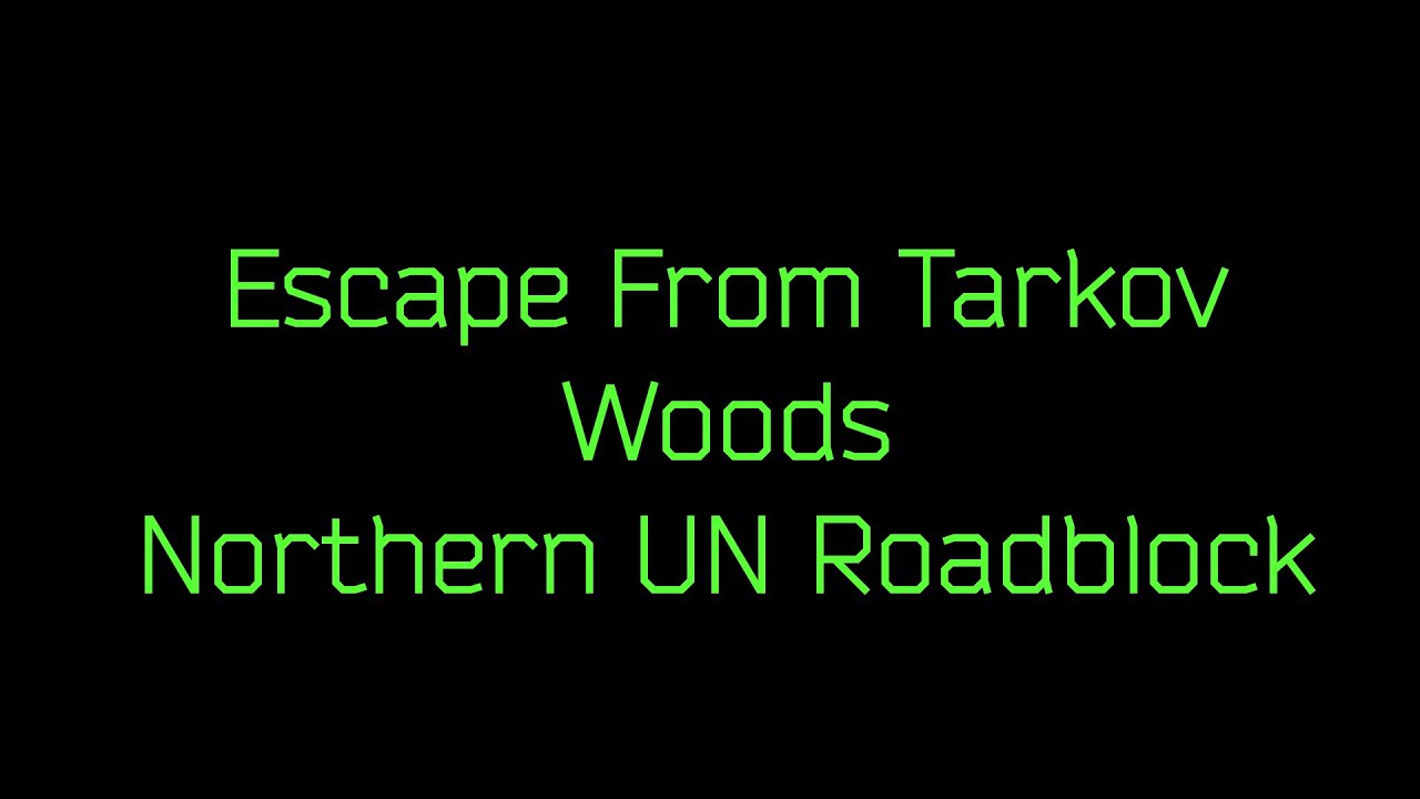 Woods Northern UN Roadblock Extract - YouTube