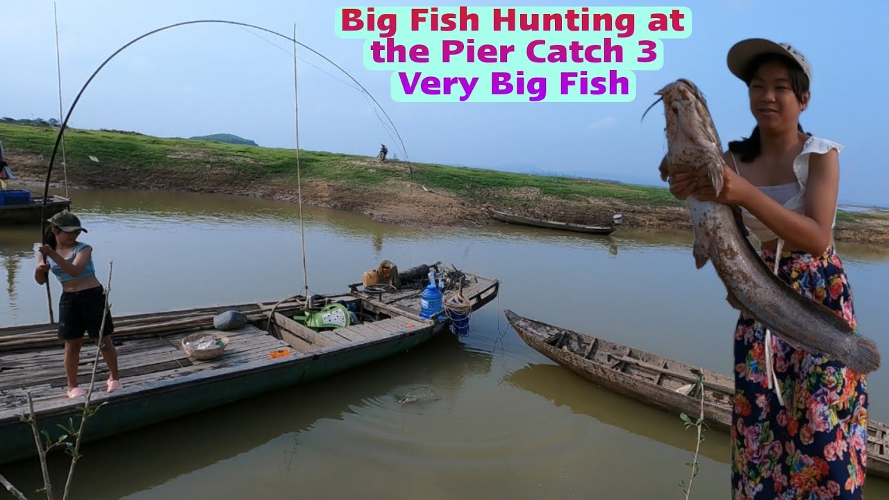 Big Fish Hunting at the Pier Catch 3 Very Big Fish. Baby Nghi Tv - YouTube