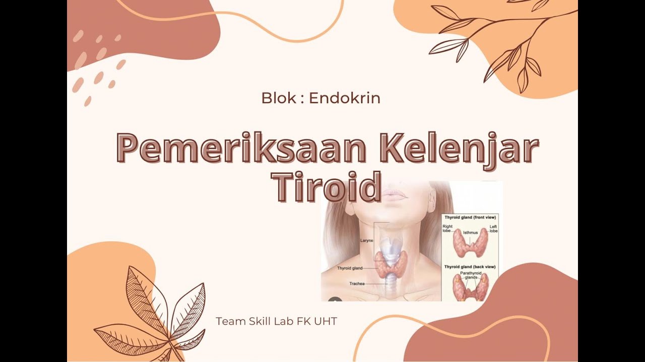 PEMERIKSAAN TIROID - YouTube