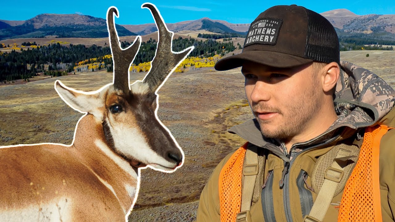 Mountain antelope hunt story.. - YouTube