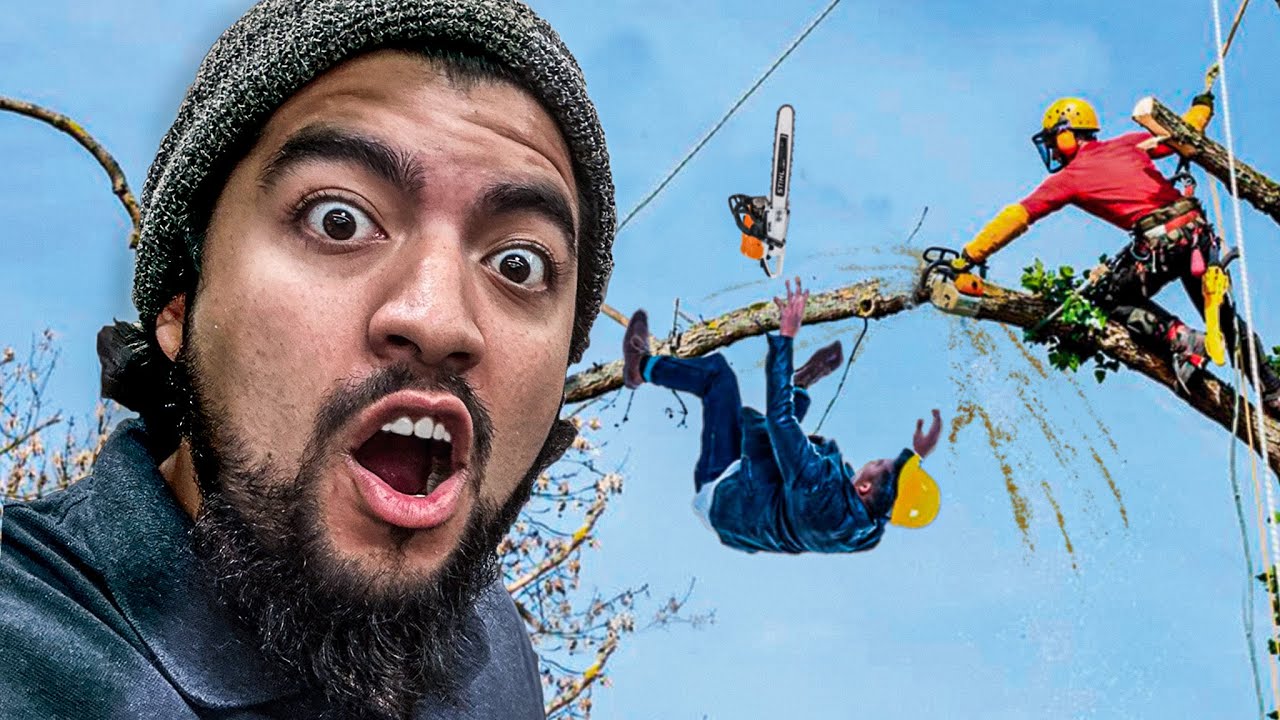 Así es TRABAJAR cortando ÁRBOLES en USA 🇺🇸 - YouTube