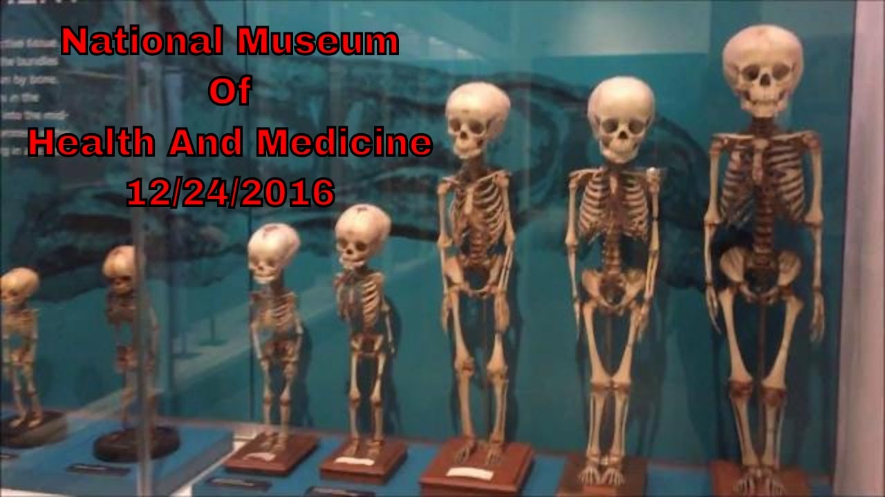 National Museum Of Health And Medicine 12/24/2016 - YouTube