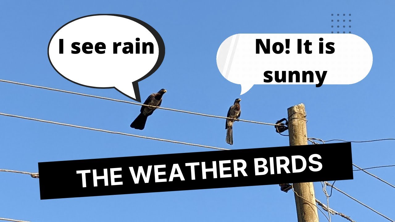 How To Say it Is Raining In French YouTube how-to-say-it-is-raining-in-french-youtube