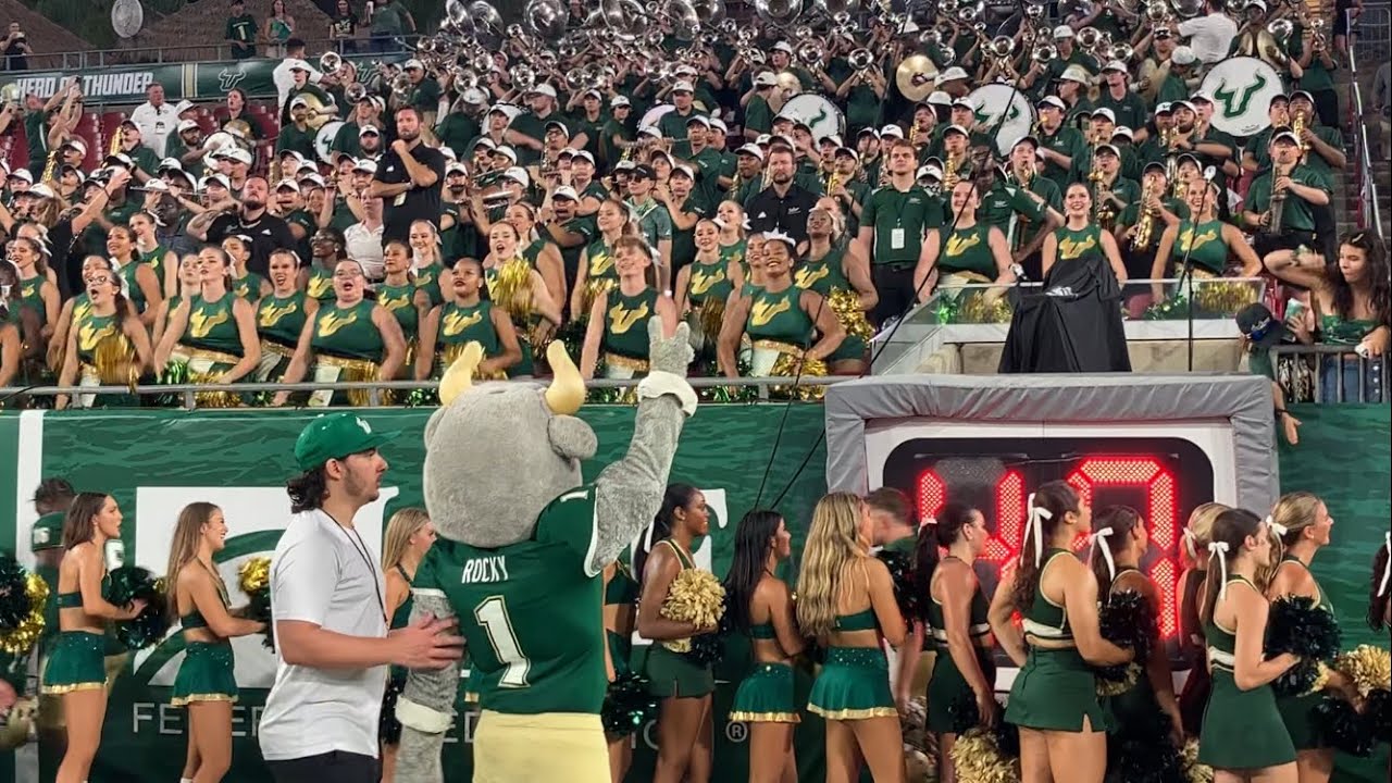 USF Bulls Marching Band Herd of Thunder, Cheerleaders, Rocky, football ...