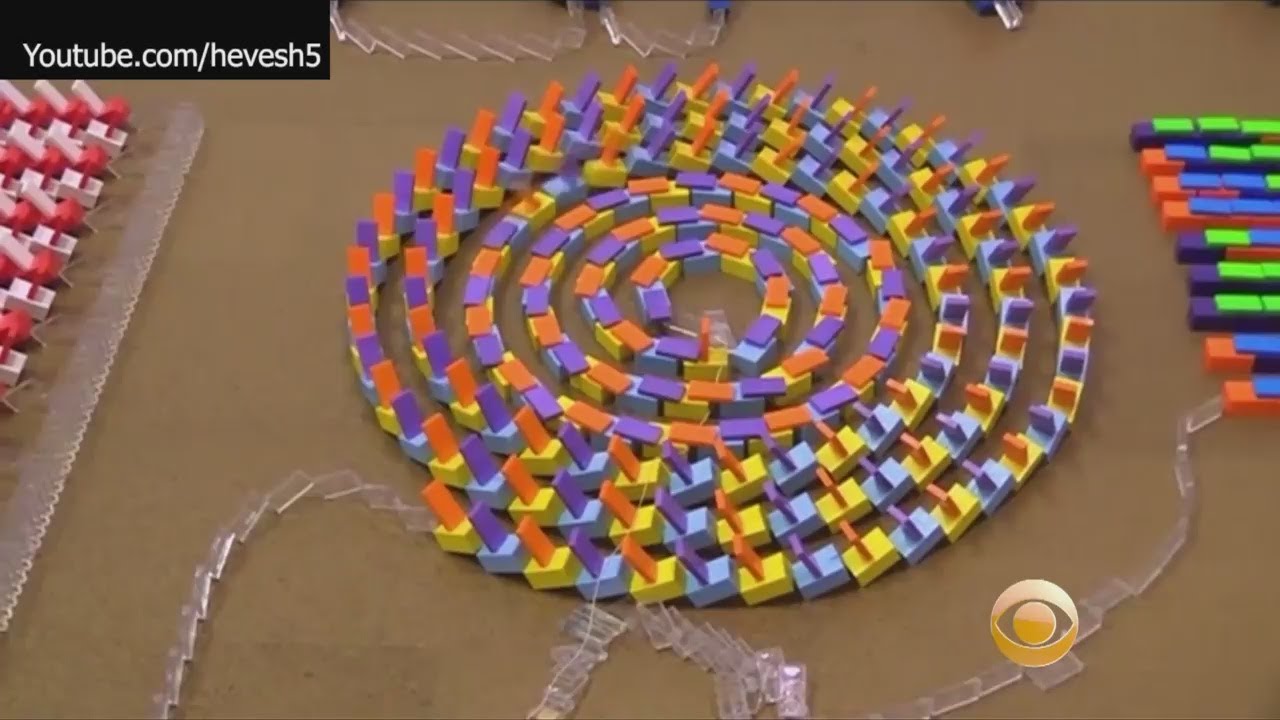Professional Domino Artist Unveils Seventy Five Hundred Strong Domino ...