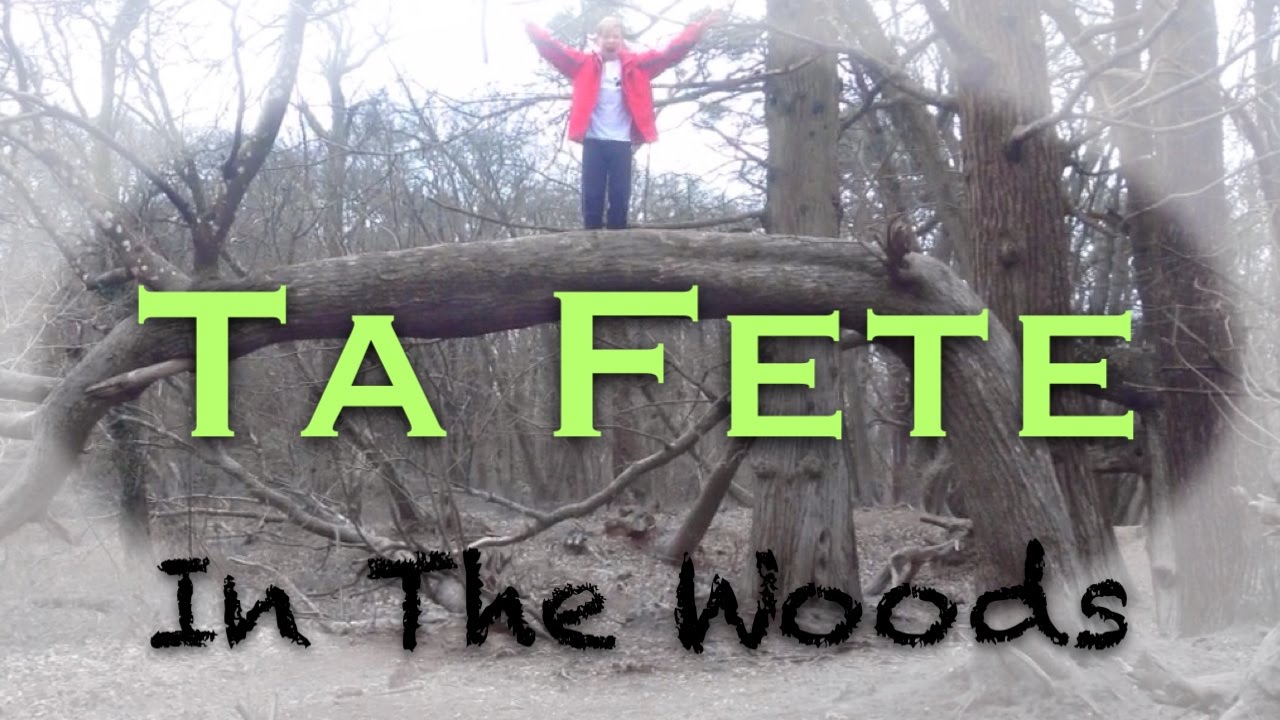 [In The Woods] Ta Fete - Stromae | Milkandcookies658 - YouTube