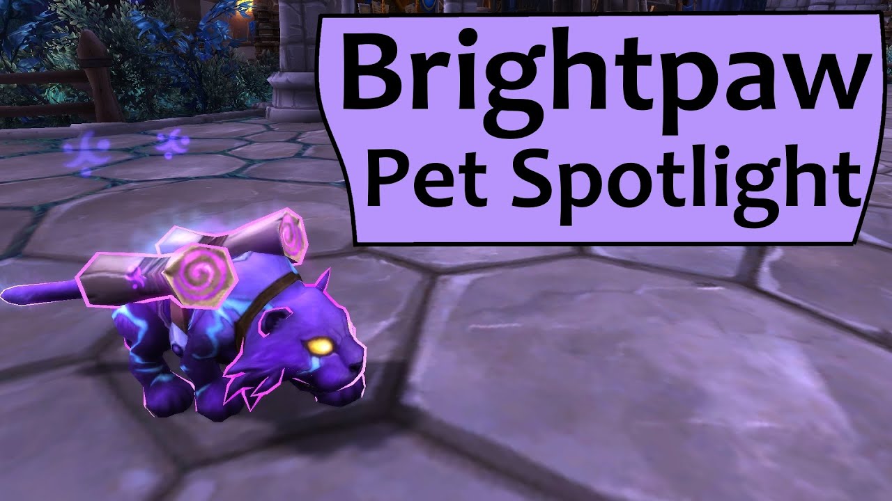 Brightpaw - New Charity Pet from the World of Warcraft Shop - YouTube