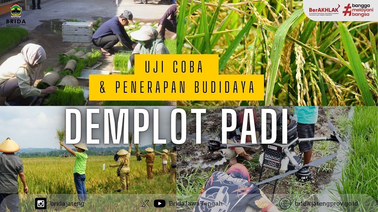 Pemanfaatan Bioteknologi Untuk Pengembangan Integrated Farming System ...
