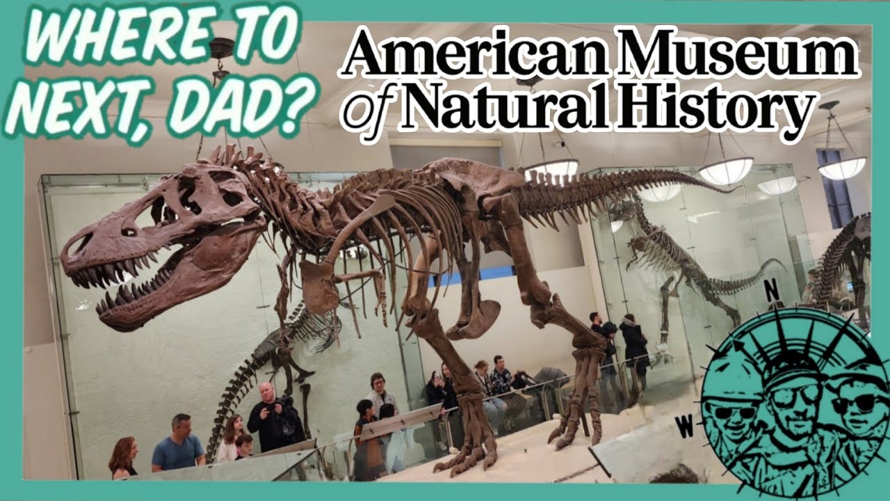 American Museum of Natural History in New York | AMNH Hall of ...