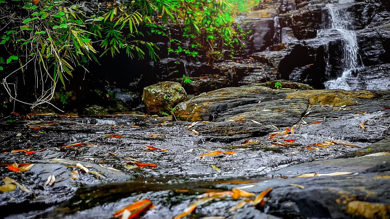 Springs Flow Over the Rocks, Natural Sounds and Birdsong, Calm and ...