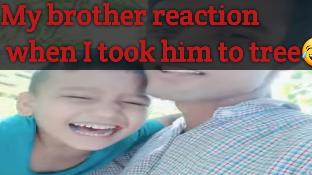 My brother reaction is so funny, when I took him tree.😂😂😂😂😂 - YouTube