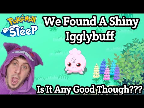 We Found A Shiny Igglybuff | Pokemon Sleep (Session 282) - YouTube