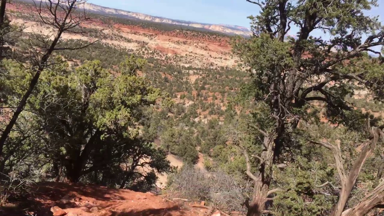 Hog Canyon Trail System Kanab, Utah - YouTube