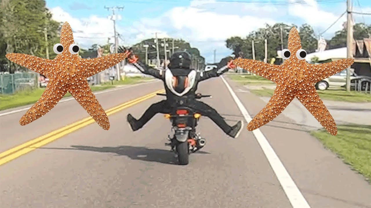 A DIME, A MAXY, AND A JANE, IN FLORIDA | GROM LIFE - YouTube