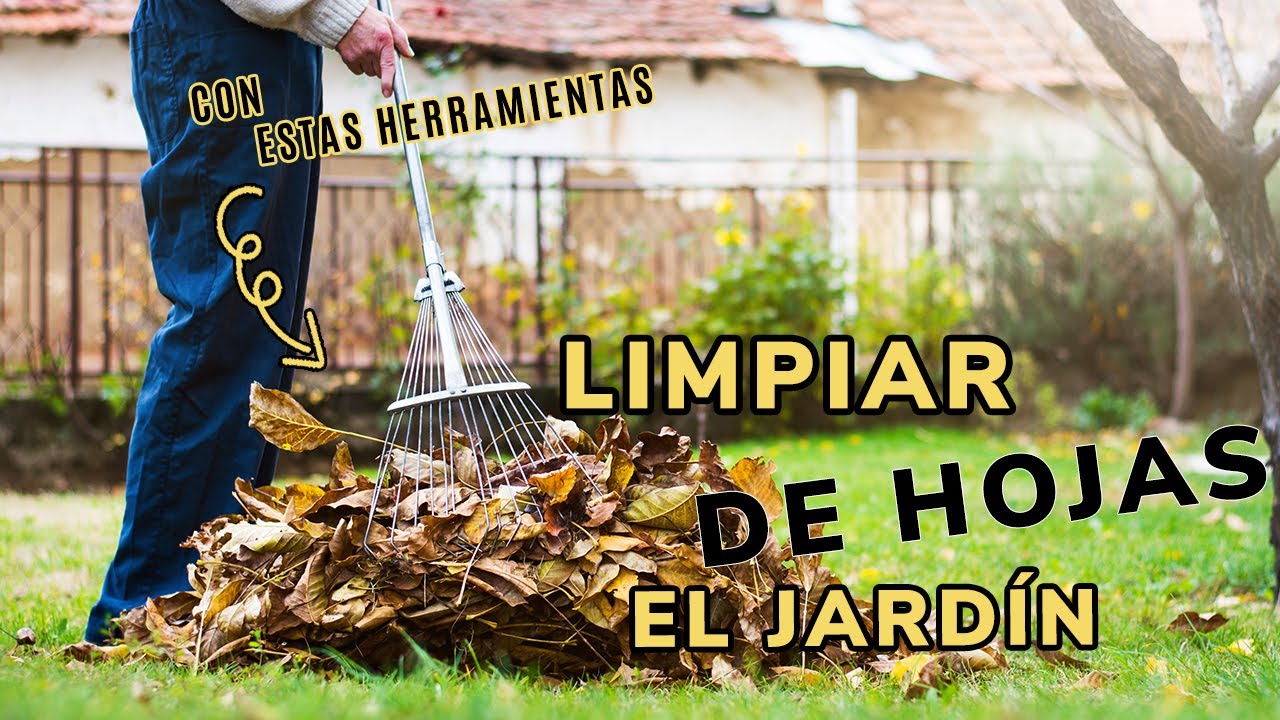 LIMPIAR de HOJAS el JARDÍN 🍁 Jardín en Otoño 🍂 - YouTube
