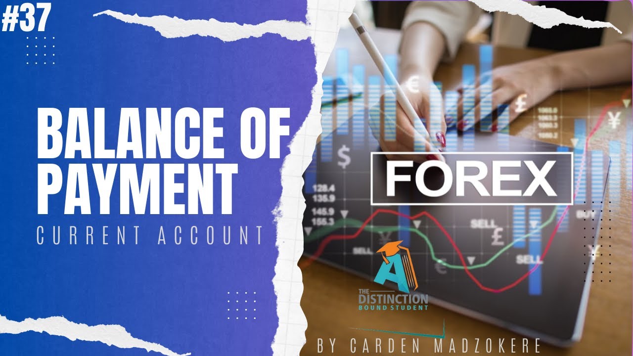 Lesson 37 Balance of Payment | Current Account [BOP] Economics Grade 12 ...