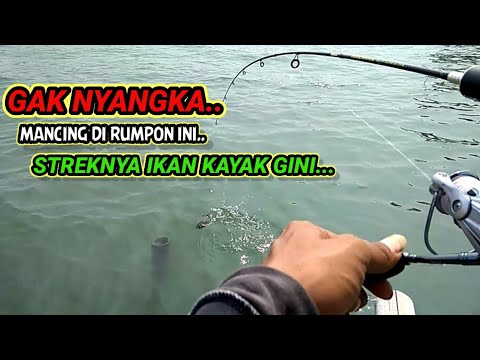 MANCING IKAN SRIDING BIN SLIDING✓ DI RUMPON NGEBRUK MANGKANG✓ MANCING SEMARANG