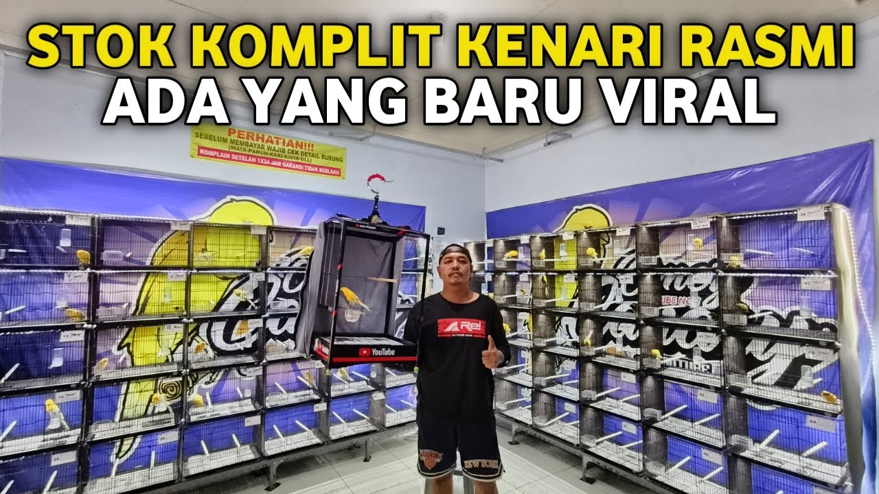 DARI YG MURAH SAMPAI YG MAHAL ADA‼️SPILL KENARI RASMI PROSPEK GANTANG ...