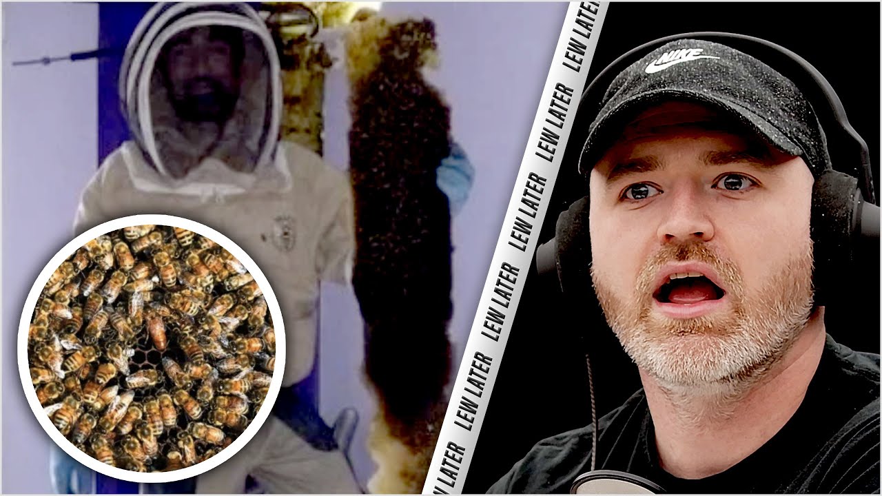80,000 Bees In A Bathroom - YouTube
