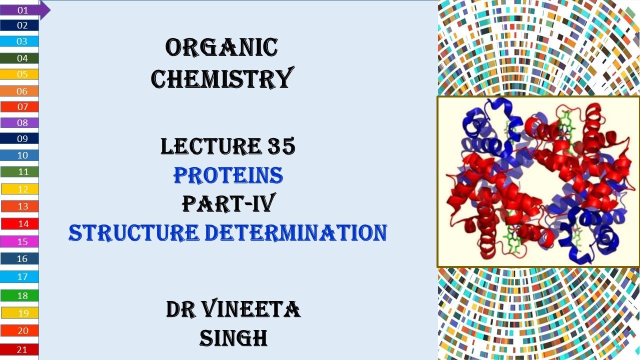 Unlocking the Secrets of Proteins: A Journey into Protein Structure ...