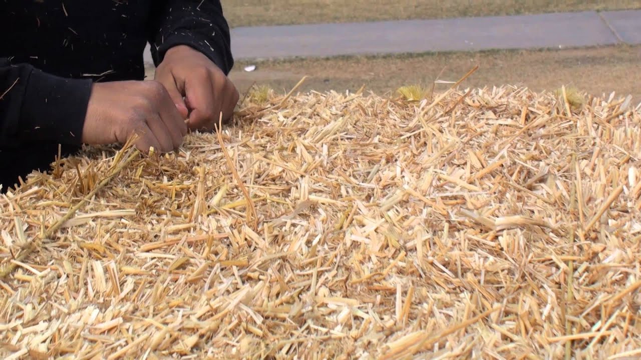 Calexico students buck hay for National FFA Week - YouTube